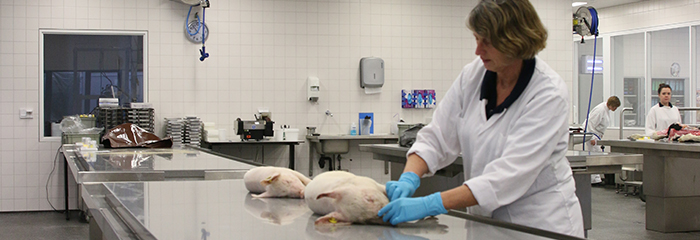 Pathologisch onderzoek