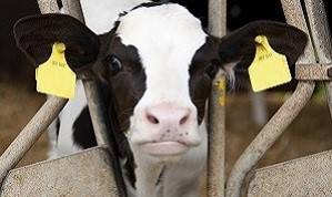 VeeOnline en Digitaal Inschrijven